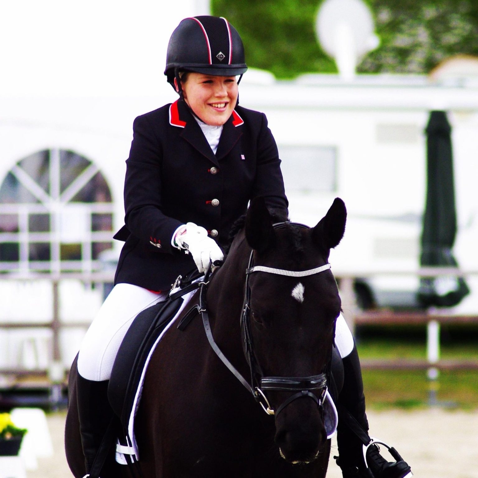 About Us | Grove House Stables LLP